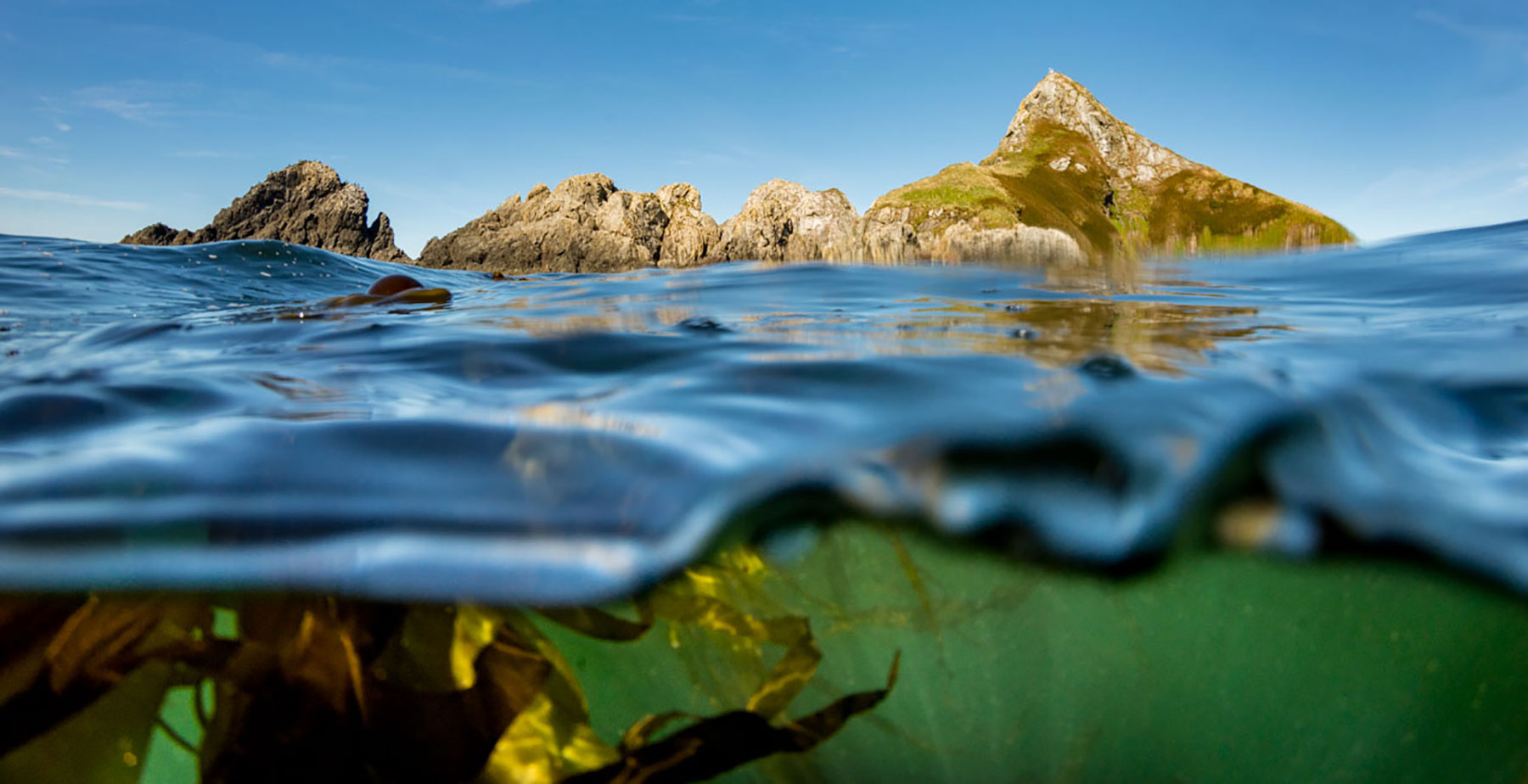 West Coast Wild Exploration Diving - BARE Sports