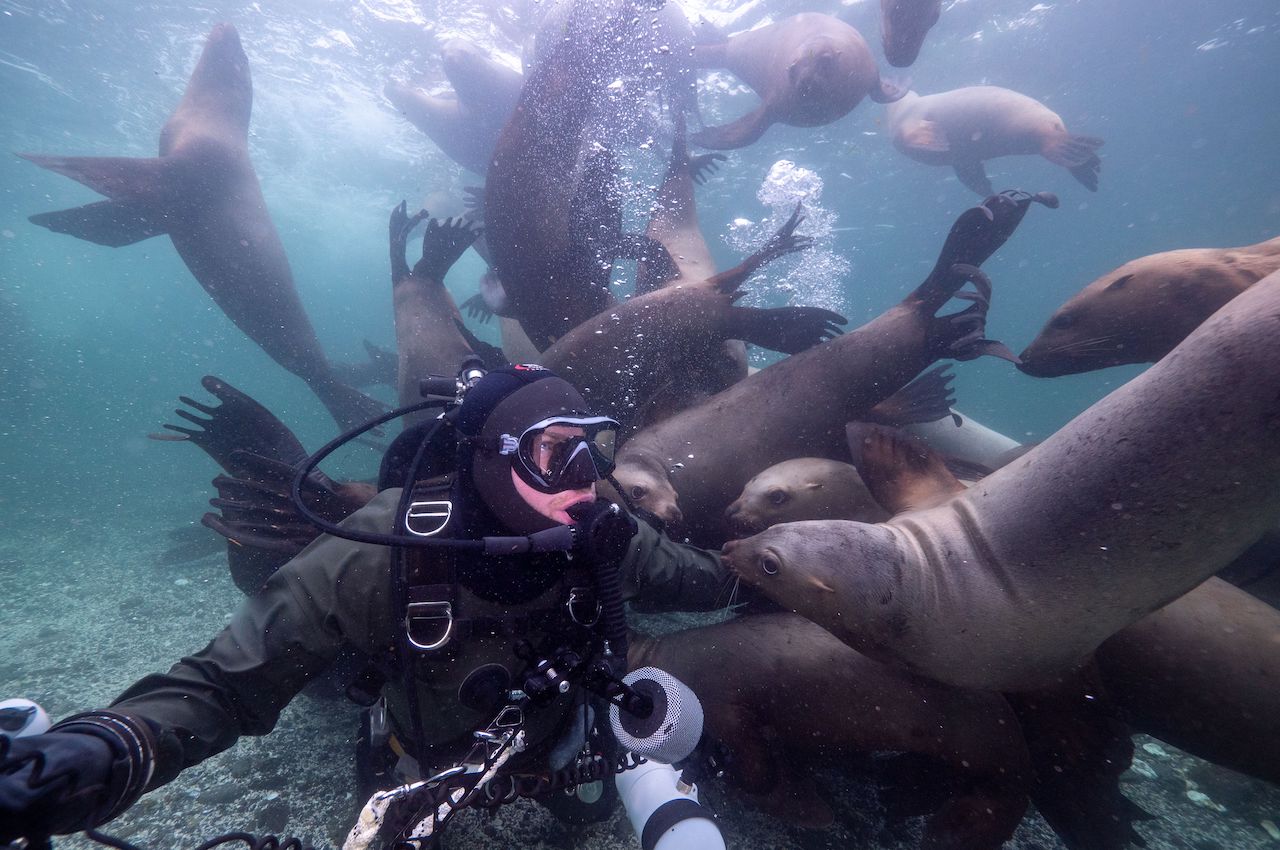 30 of Your Funniest Awkward Underwater Moments